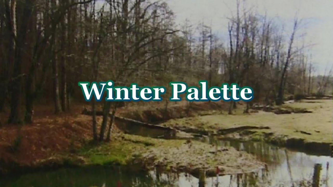 Quick Tip 143 - Winter Palette