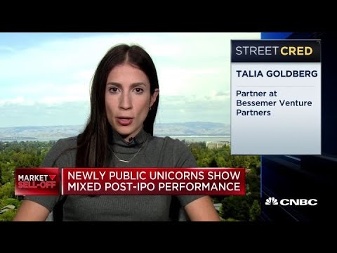 Investors reacting to companies that aren't 'capital efficient,' says pro