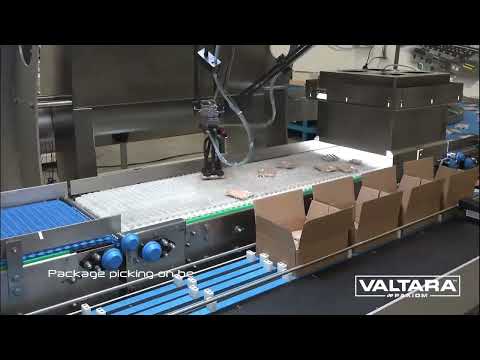 Pick and Place Thermoformed Sausages Into Cases with PKR Delta High Speed Sanitary System