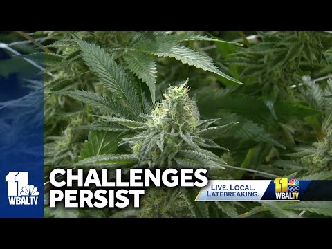 Dispensaries ID challenges as recreational cannabis sales grow