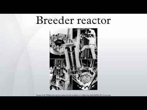 Breeder reactor