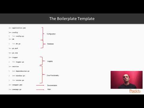 Learn Hands on Microservices Go MongoDB Single Responsibility Using Boilerplate Template ...