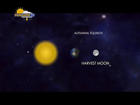 ASTRONOMY | Facts about Autumnal Equinox