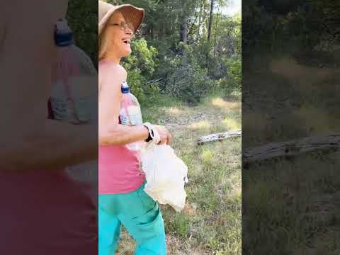 Harvesting and Mastering the power of St. Johns Wort