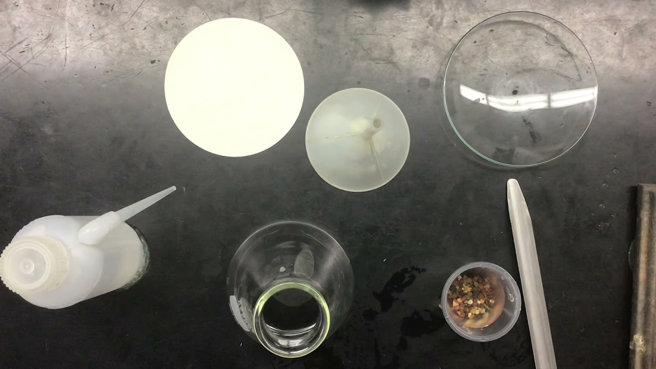 Matter Lab Activity 1