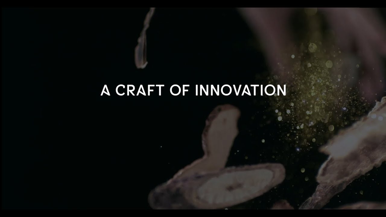 Master VDO  A Craft of Innovation Sub TH