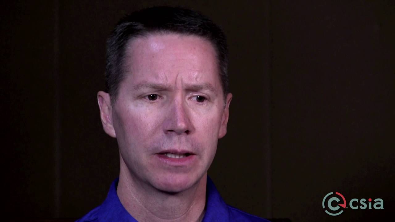 Explaining the diverse nature of the system integration industry