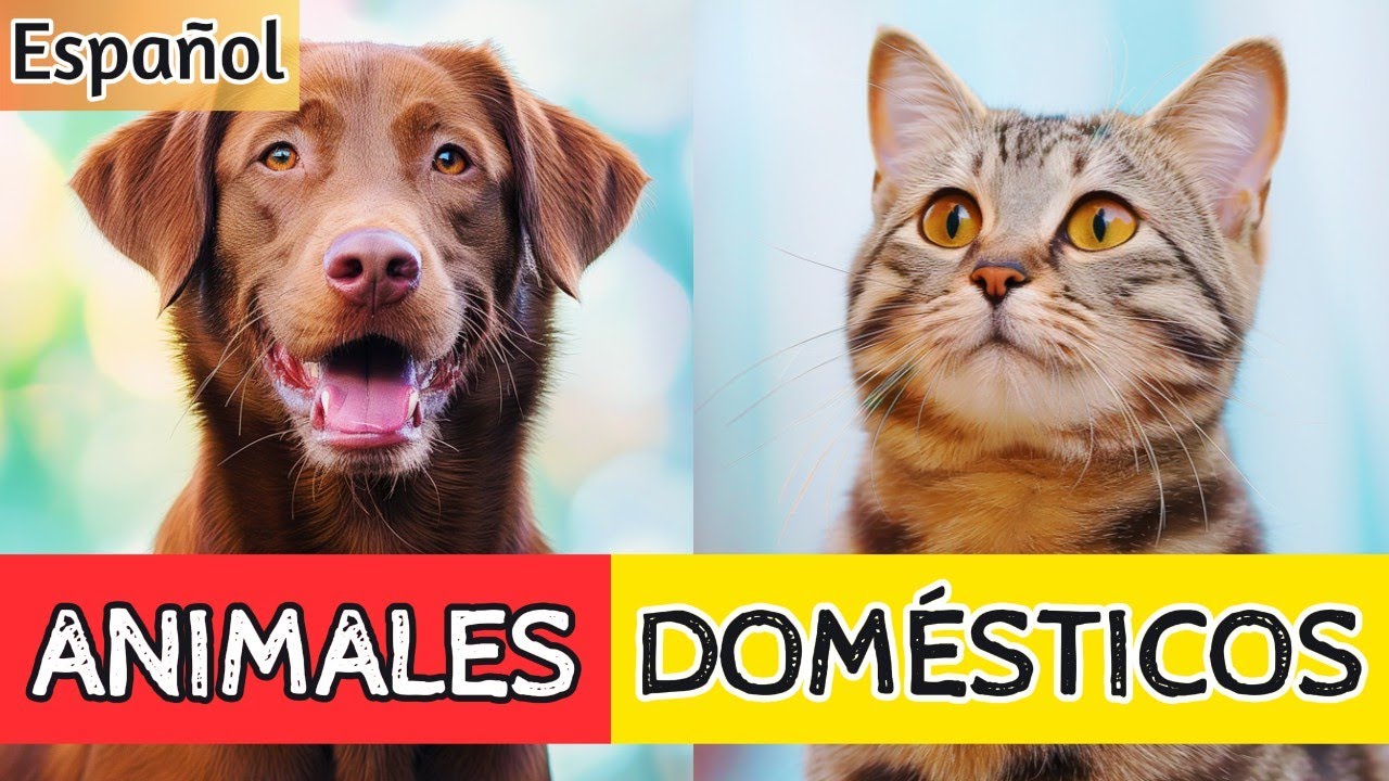 ¡Vean Esto con sus Niños! Aprendiendo los Animales Domésticos! 🐾🔊