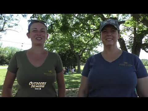 Outdoors Delmarva: Windmill Creek Vineyard and Winery
