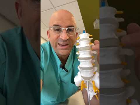 Spine Anatomy and #Backpain #surgeon #orthopedics #nervepain