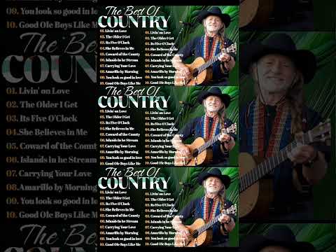 Best Classic Country Songs Of All Time ⭐ Don Williams, Alan Jackson, Willie Nelson, George Strait