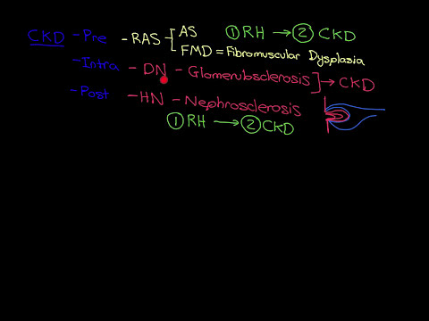 Kidney Disease Part 4