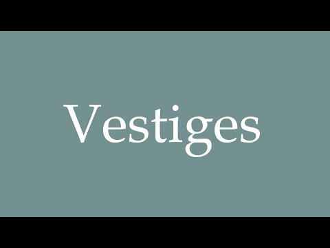 How to Pronounce ''Vestiges'' Correctly in French