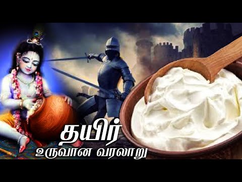 History of Yogurt In Tamil | How Was Curd First Made | Talkslogist