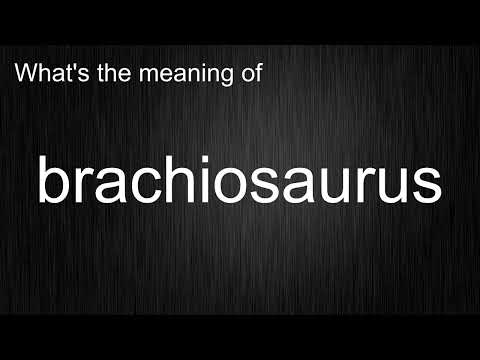 What's the meaning of "brachiosaurus", How to pronounce brachiosaurus?
