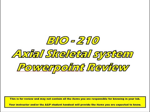BIO 210 Axial Skeleton powerpoint video