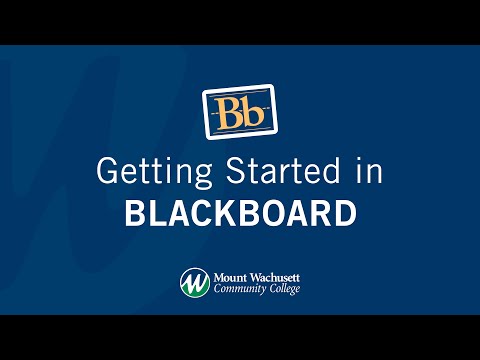Getting Started in Blackboard