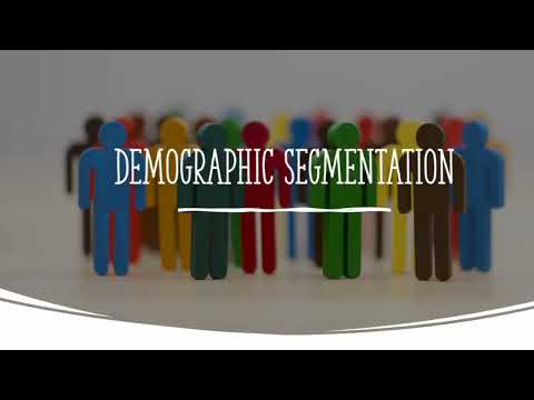 Demographic Segmentation (Urdu/Hindi)