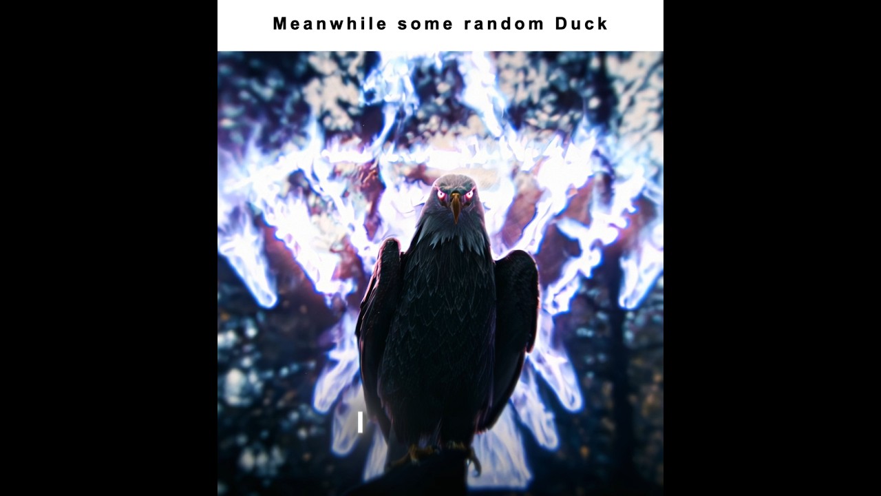 This duck is really cold | Eagly 