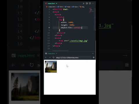 Resize Images to Fit a Container #css #js #tips