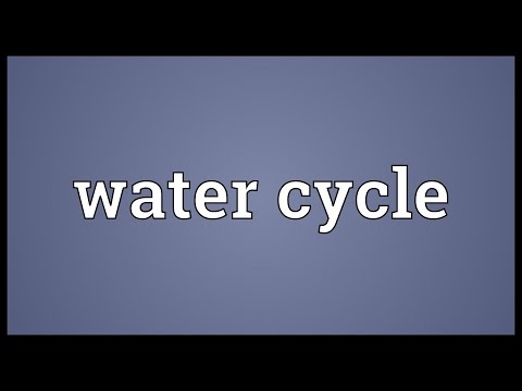 Water cycle Meaning