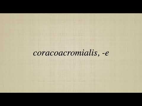 coracoacromialis, e