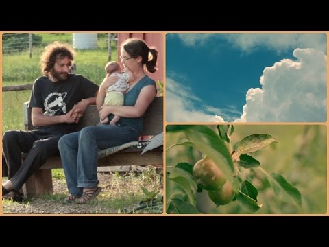Sustainable Farmstead in Wisconsin