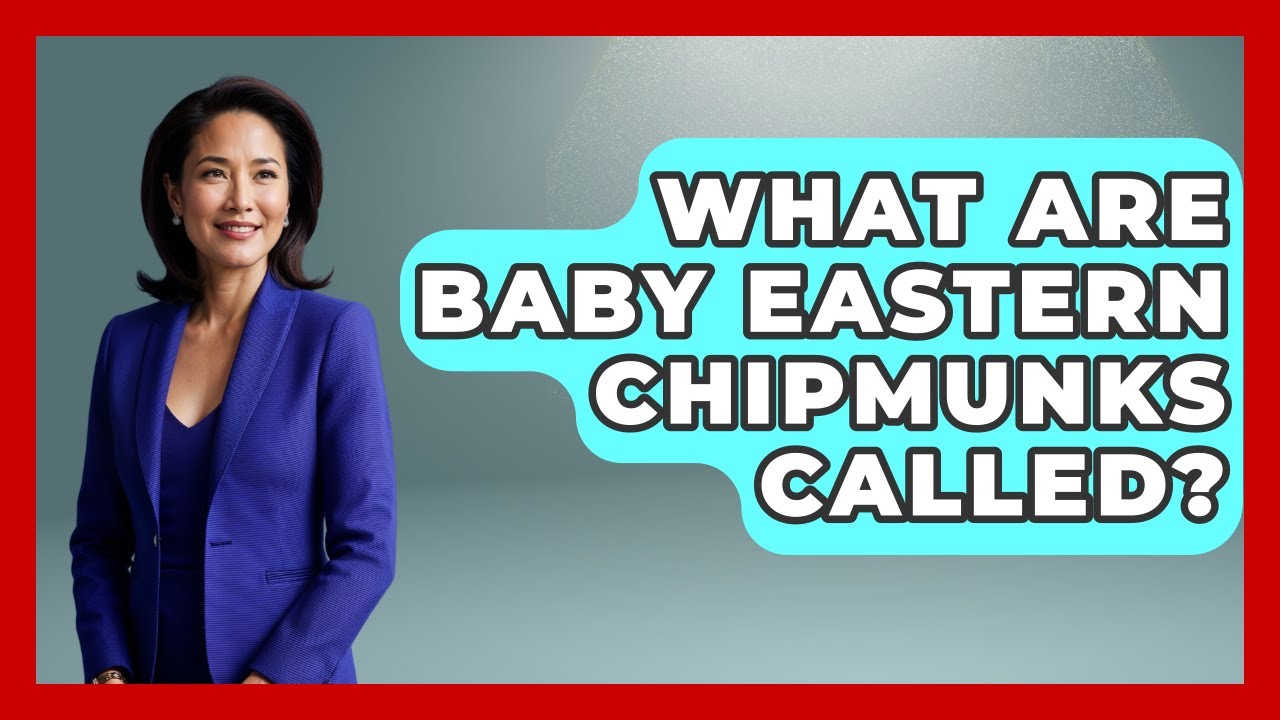 What Are Baby Eastern Chipmunks Called? - The Wild Life Explorer