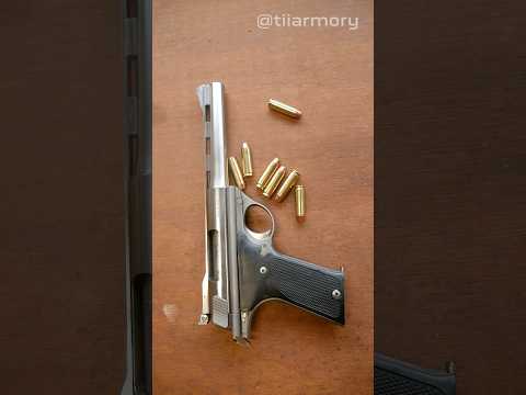 Auto Magnum