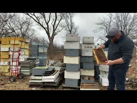 Chemical free comb storage!!!β Part 2 β Brood combs