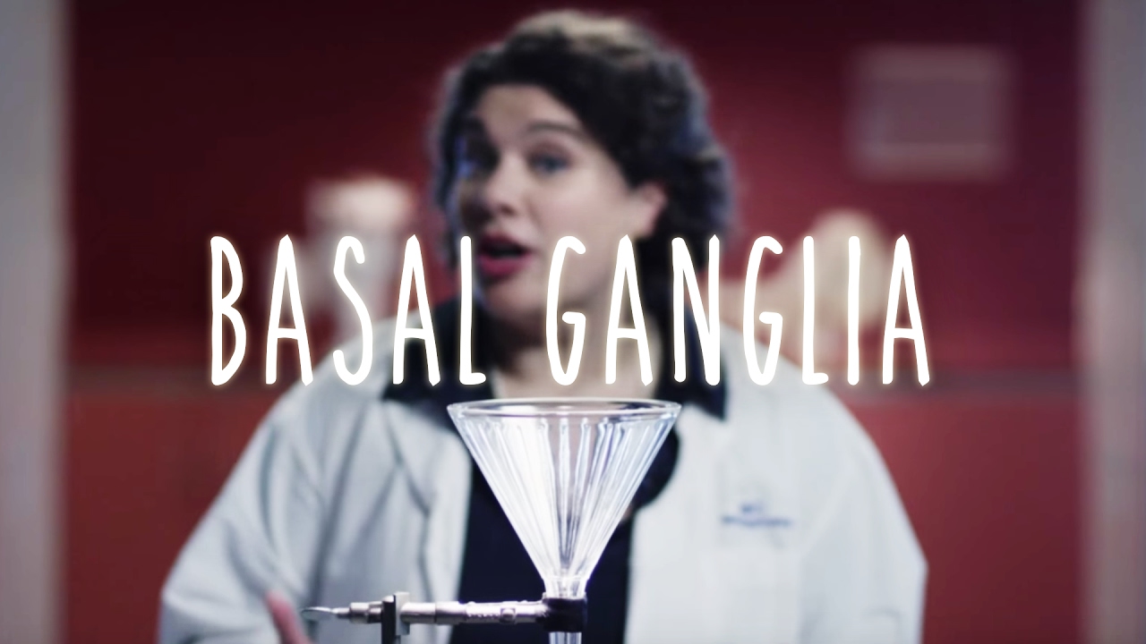 Neuroanatomy S1 E7: Basal Ganglia #neuroanatomy #ubcmedicine