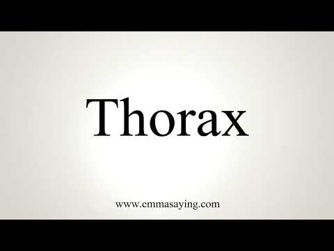 How To Pronounce Thorax