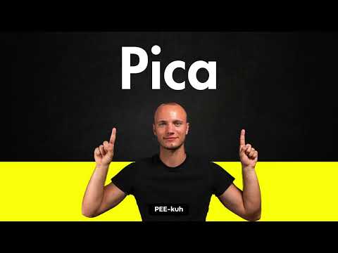 How to Pronounce Pica (Correctly)