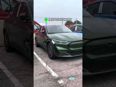Which 2025 Ford Mach-E color is your favorite? | Bill Brown Ford in Livonia, MI