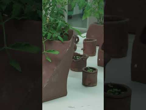 #sustainability at Otis College of Art & Design #artandscience