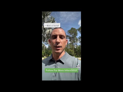 What Is An Internist? | Dr. Nacho Responds