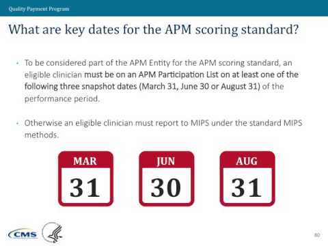 What is the APM Scoring Standard?