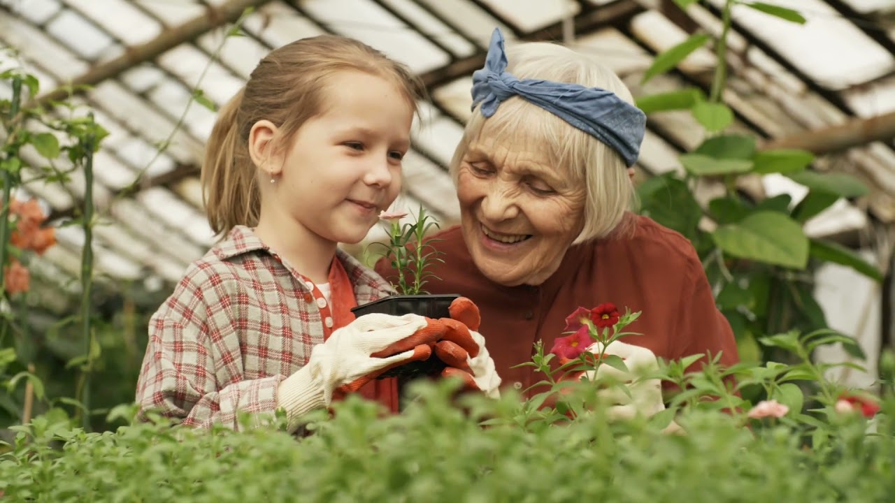 Socializing For Seniors: Why It's So Important