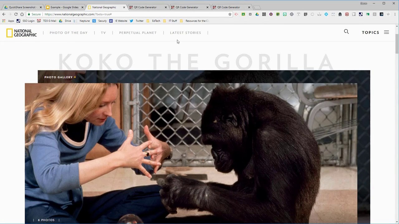 6 - The QR Code Reader Extension