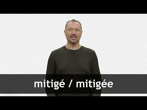 English Translation of “MITIGÉ” | Collins French-English Dictionary