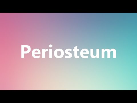 Periosteum - Medical Definition and Pronunciation