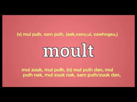 moult meaning in English Ngawn