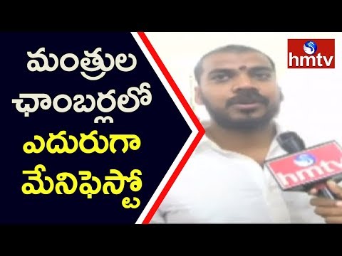 YSRCP MLA Candidate Anil Kumar Yadav Face To Face Over YCP Manifesto | hmtv