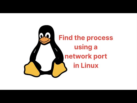 Find the process occupying a specific port in Linux