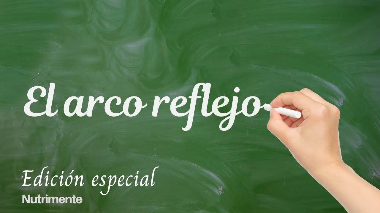 El ARCO REFLEJO  [La vía más rápida del sistema nervioso]