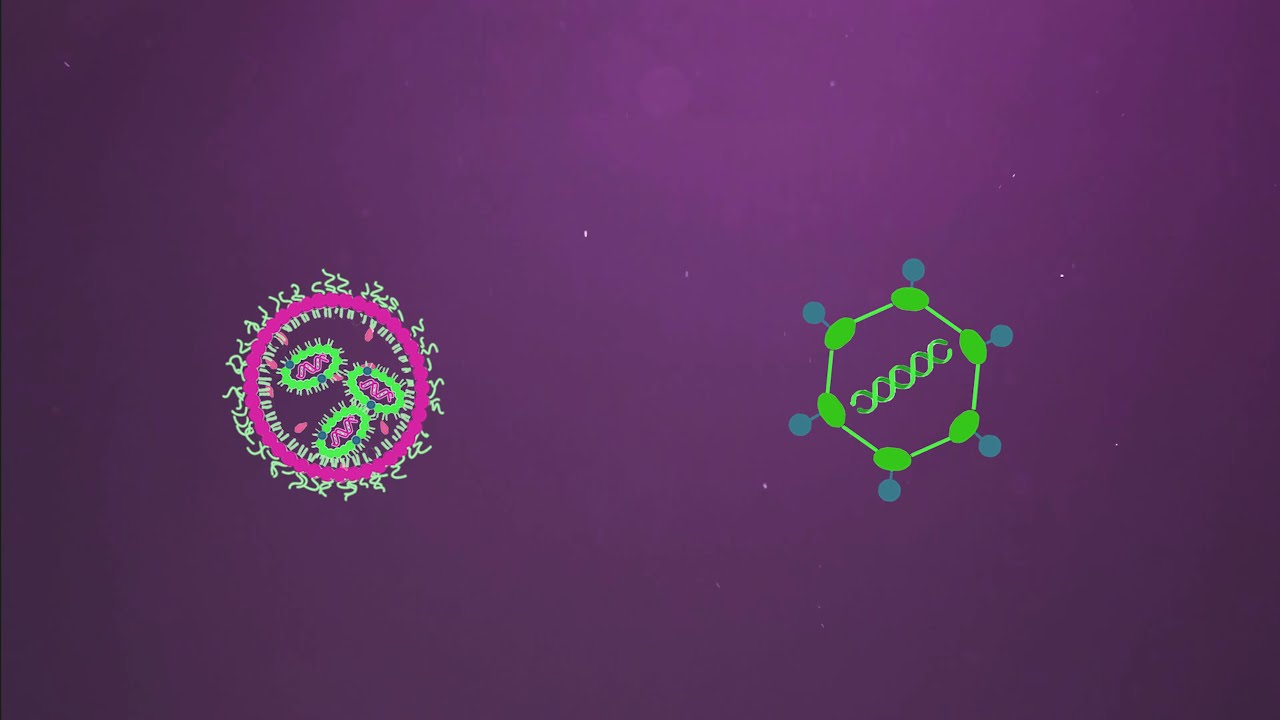 Introducing Bionanoparticles at IBSE, BOKU
