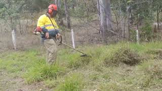Best Whipper Snippers and Edgers in 2026 as reviewed by Australian ...