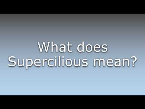 What does Supercilious mean?