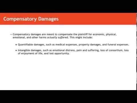 Torts lecture: Compensatory and Punitive Damages | quimbee.com