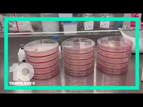 Florida monoclonal antibody sites closed after FDA removes treatment authorization